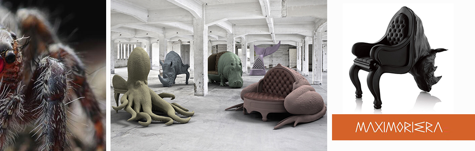 大象椅[DW002] | 休闲椅 | 坐具 - ansuner爱尚家具