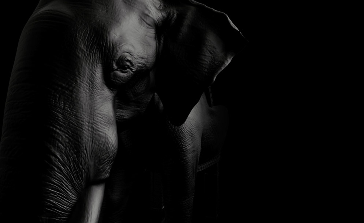 大象椅[DW002] | 休闲椅 | 坐具 - ansuner爱尚家具